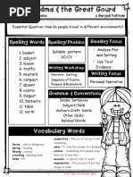 Into Literature Grade 7 Ball Hawk | PDF