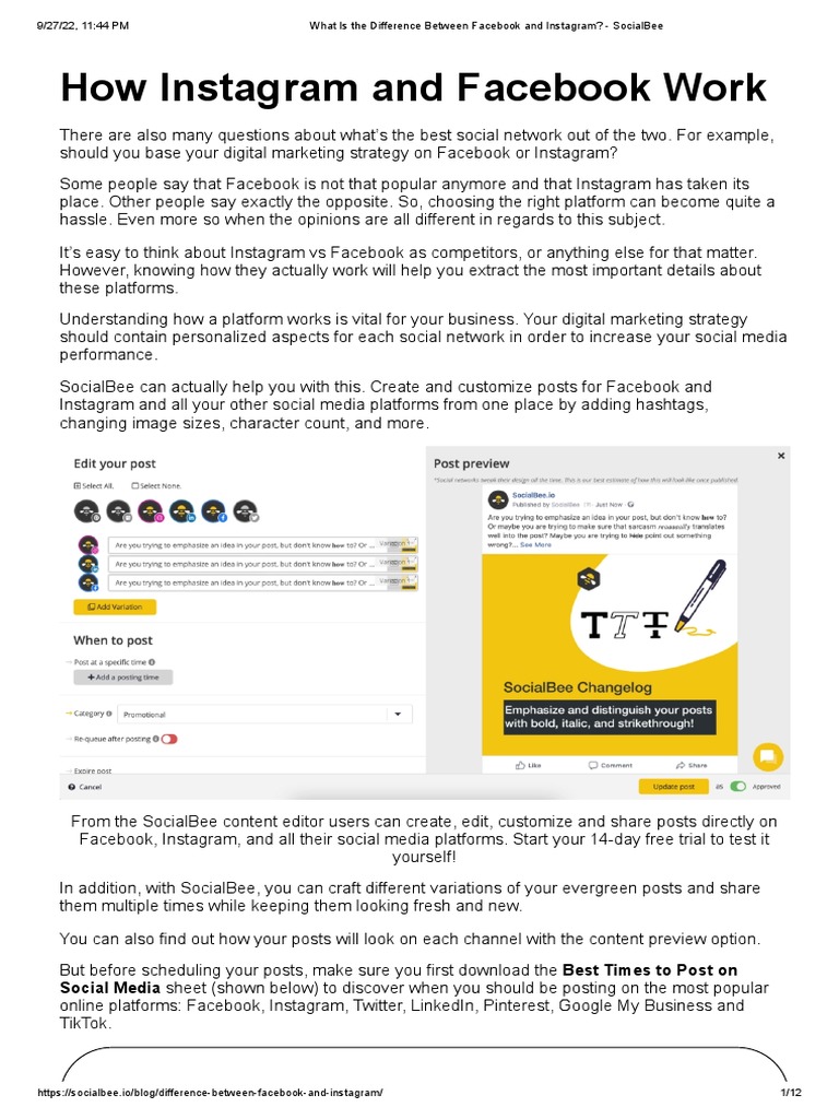 Q1..What Is The Difference Between Facebook and Instagram - SocialBee | PDF | Social Media ...
