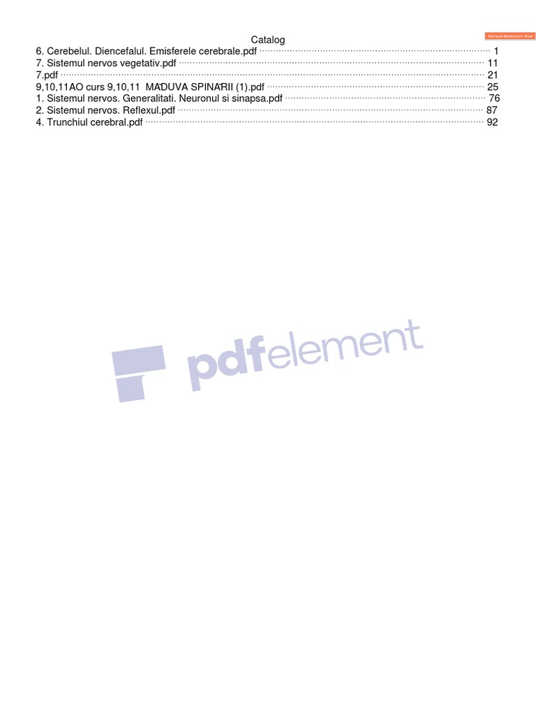 Anatomie Grile | PDF | Cerebral Cortex | Nerve