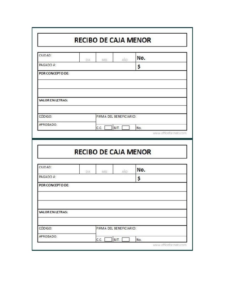 Formato Caja Menor | PDF
