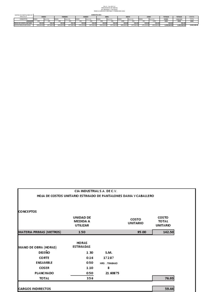 Caso Practico de Presupuestos Examen Final - Recortado | PDF | Presupuesto | Economias