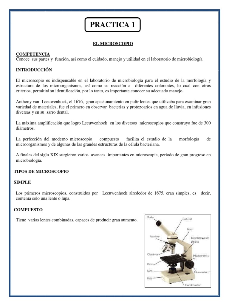 Manual de Practicas de Laboratorio de Microbiologia 2014 B | PDF | Tinción | Las bacterias