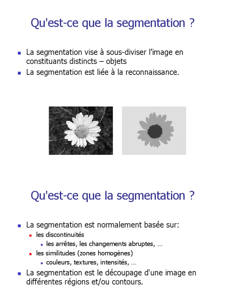 Introduction à la segmentation d'images | PDF | Segmentation d'image ...