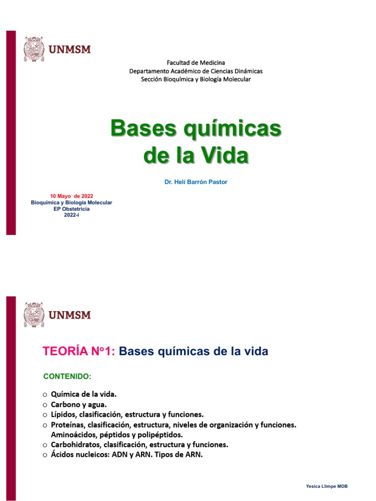 Bases Químicas de La Vida | PDF | Carbohidratos | Lípido