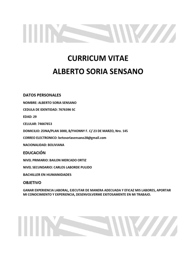 Curricum Vitae Albe | PDF | Materiales