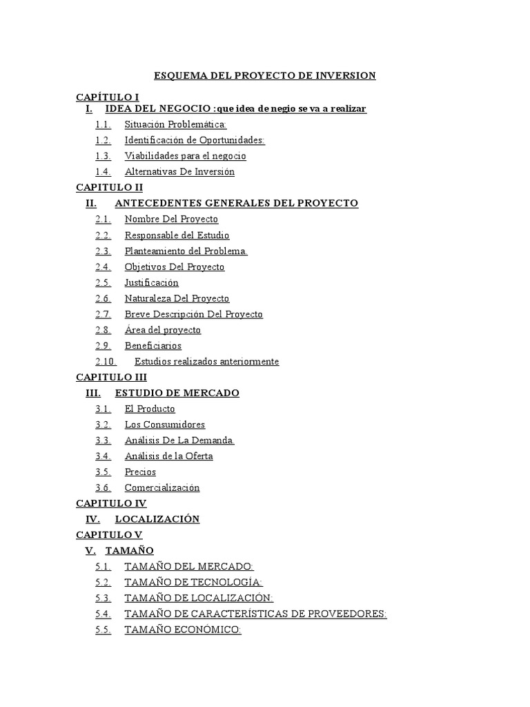Esquema Del Proyecto de Inversion 2020 | PDF