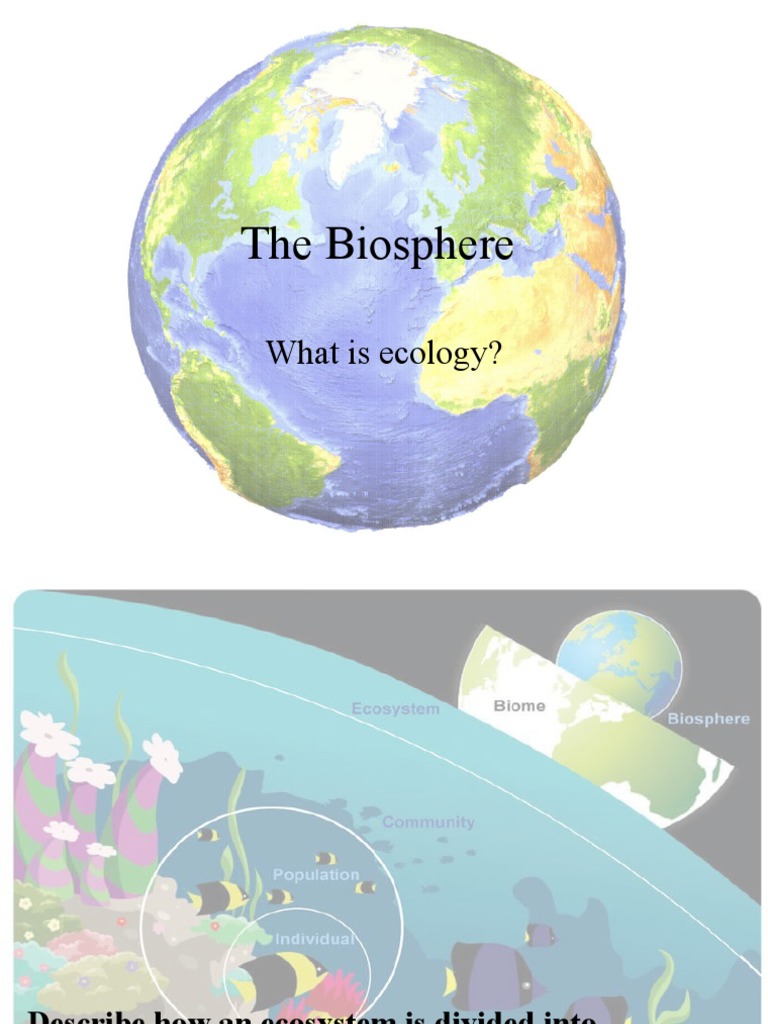 The Biosphere and Levels of Organization | PDF | Food Web | Ecosystem