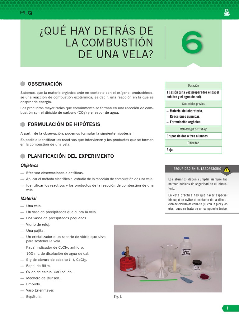 06 CUA FyQ 1BCH 1 | PDF | Agua | Combustión