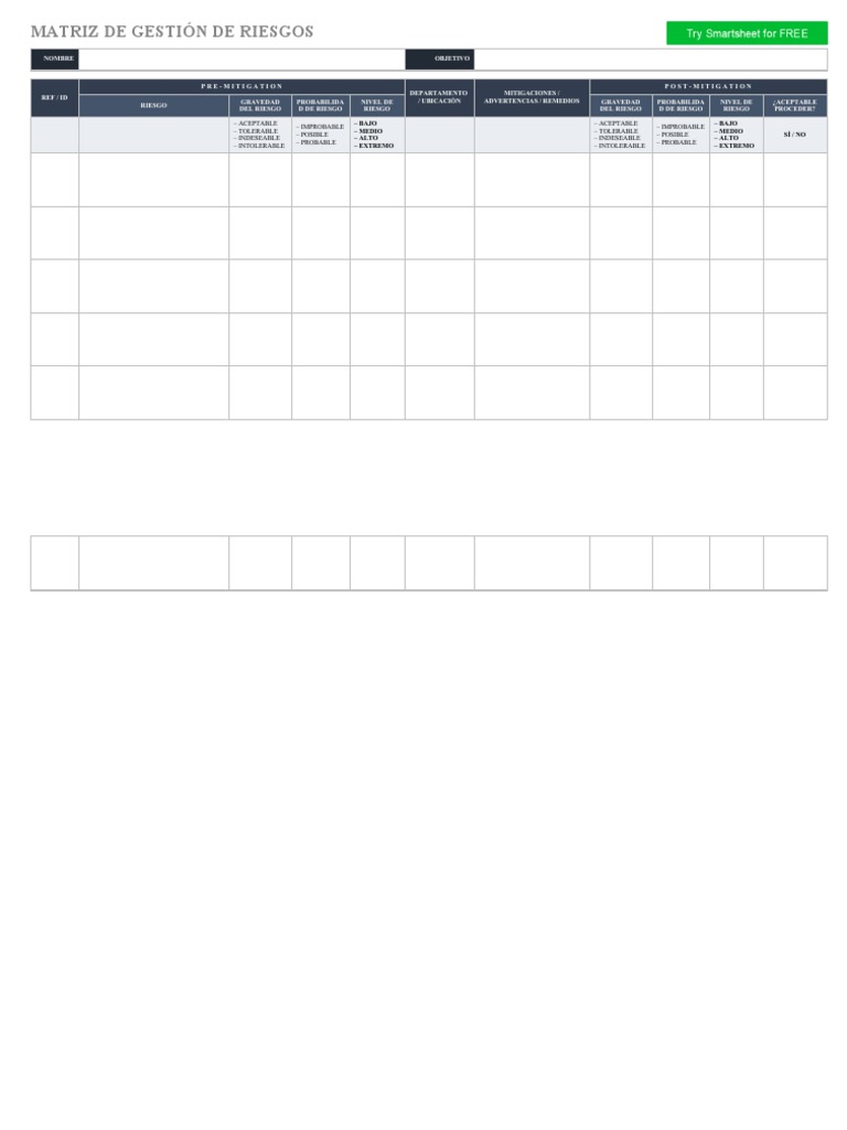 IC Risk Management Matrix Template 27193 - WORD - ES | PDF | Informática