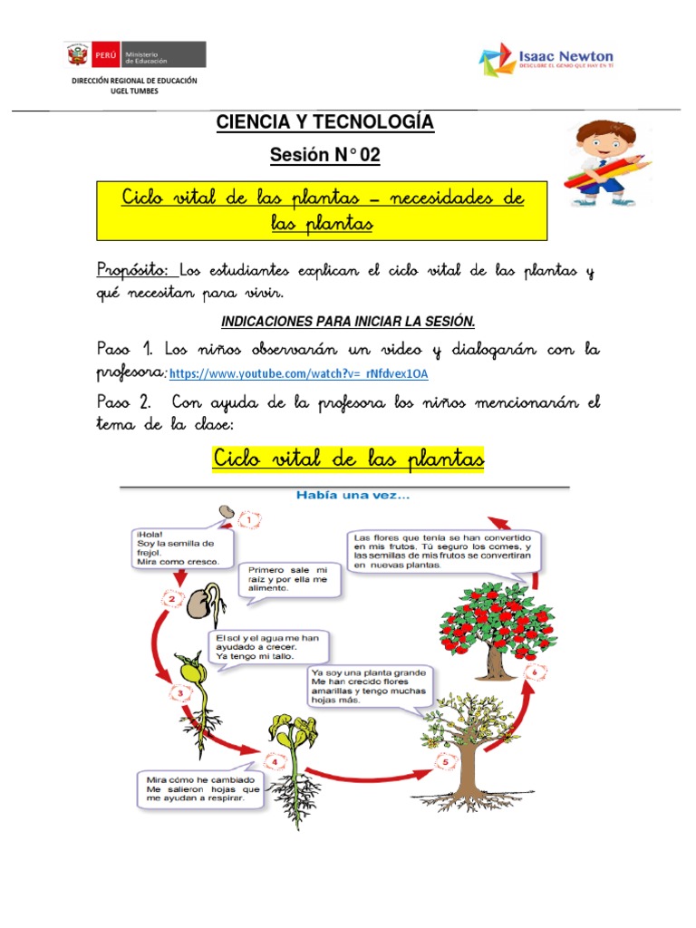 Ciclo Vital de las Plantas para Niños | PDF | Ciencia y matemáticas
