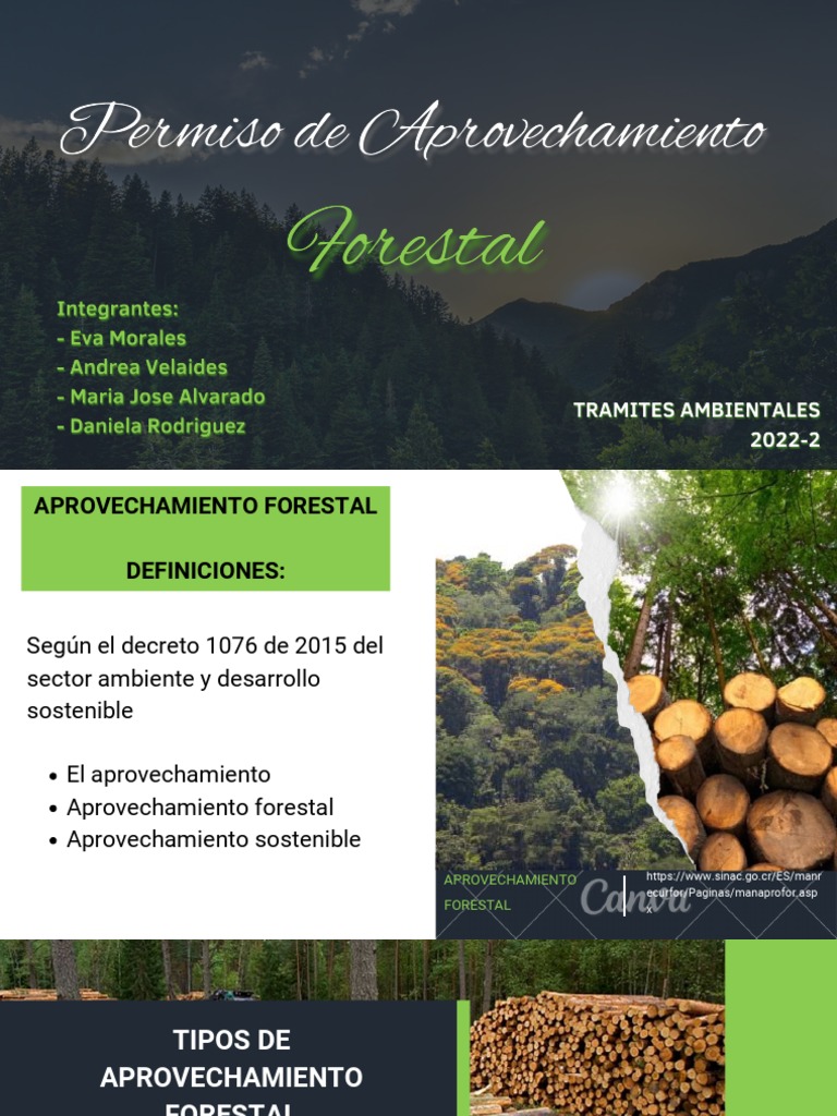 Permiso de Aprovechamiento Forestal | PDF | Los bosques | Gestión de ...