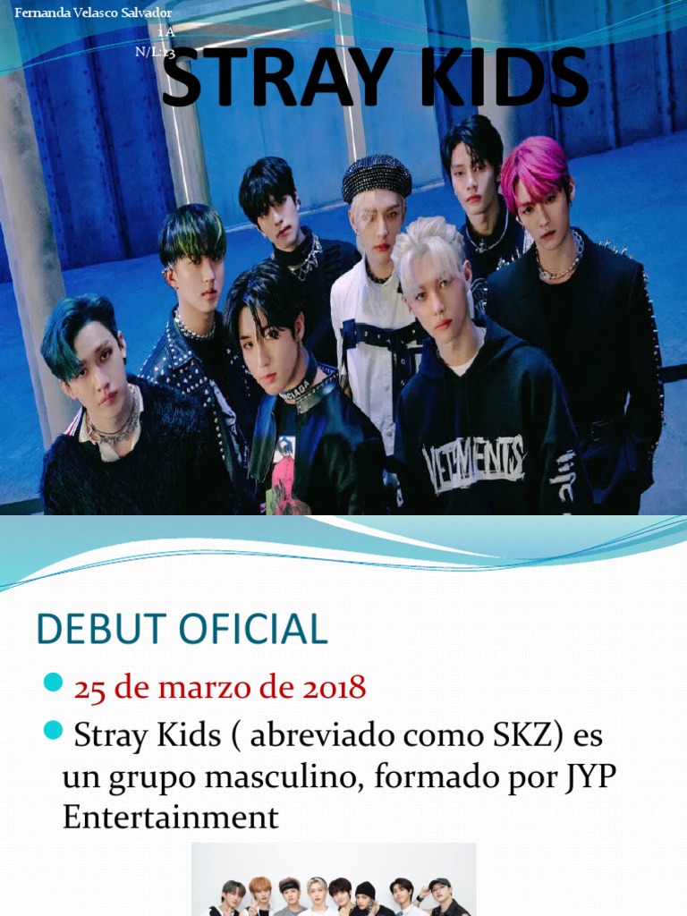 Stray Kids | PDF