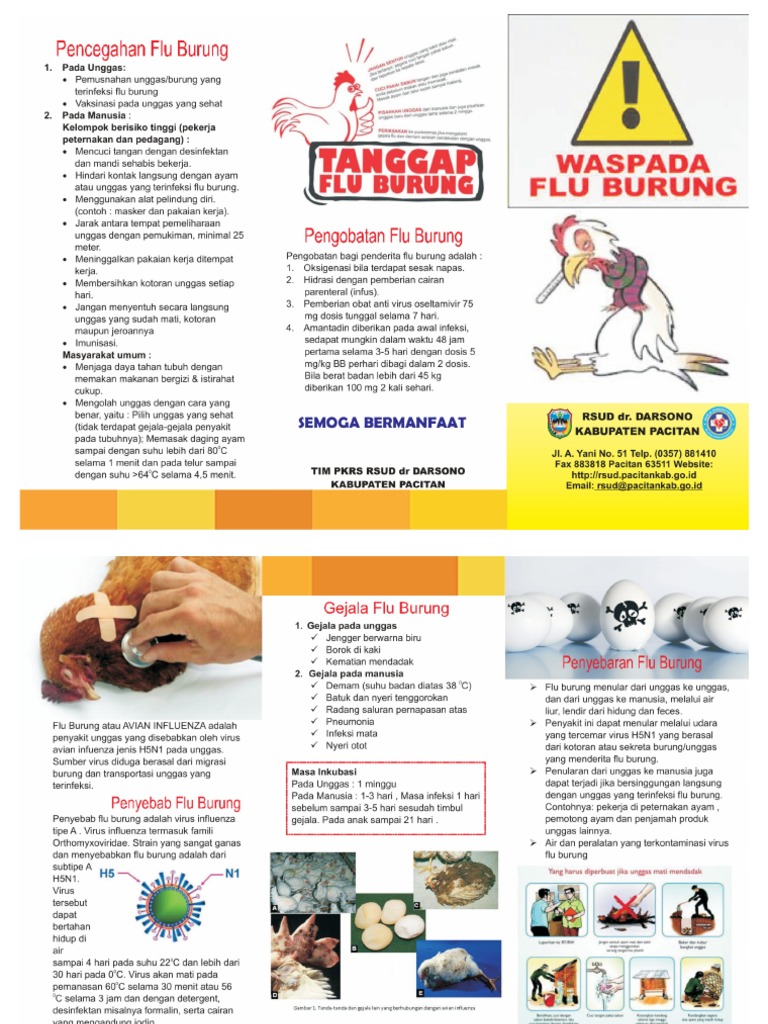 Flu Burung | PDF