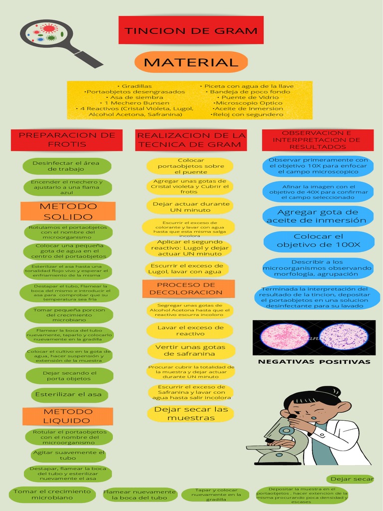 Tincion de Gram | PDF | Tinción | Agua