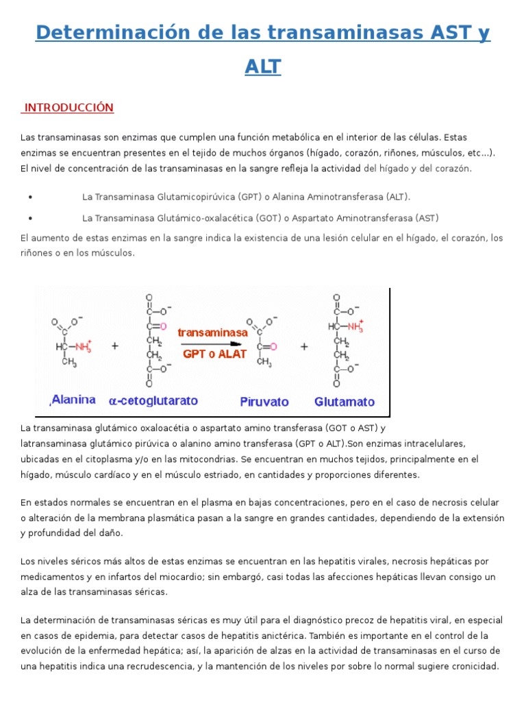 Determinacion de Las Transaminasas Ast y Alt | PDF | Transaminasa ...