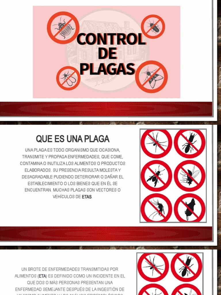 Control de Plaga | PDF | Control de plagas | Plaga (organismo)