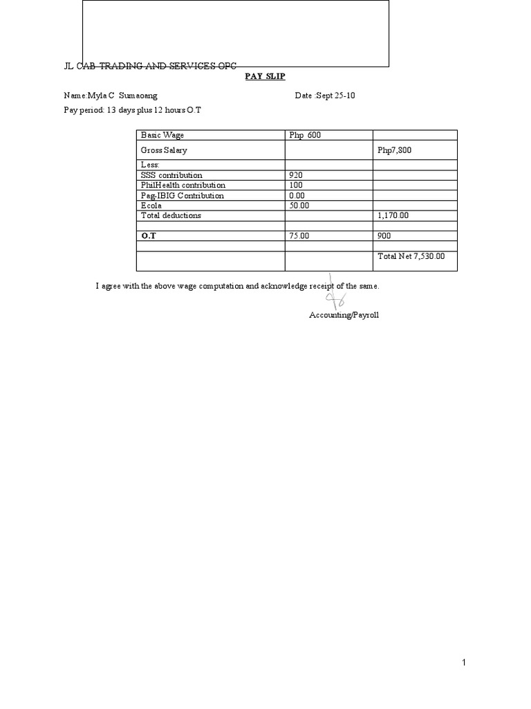 Sample Payslip | PDF