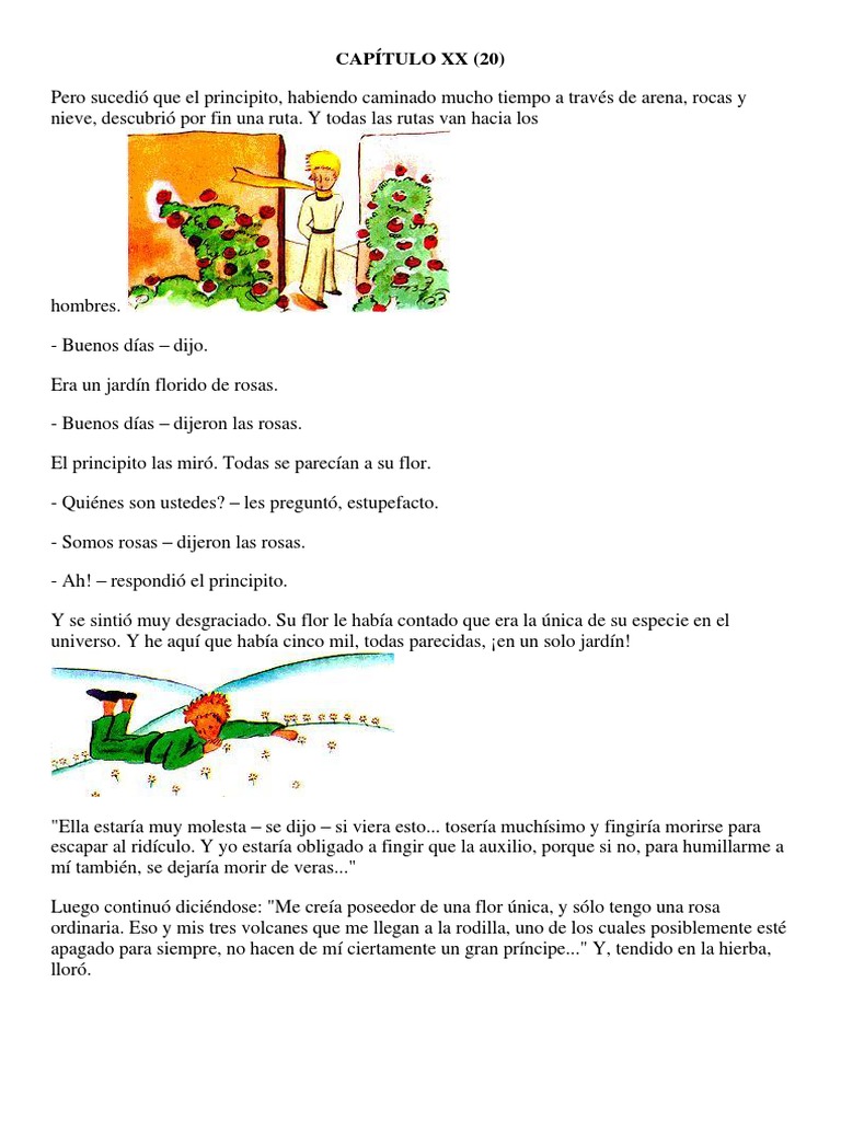 Cap 20 El Principito | PDF