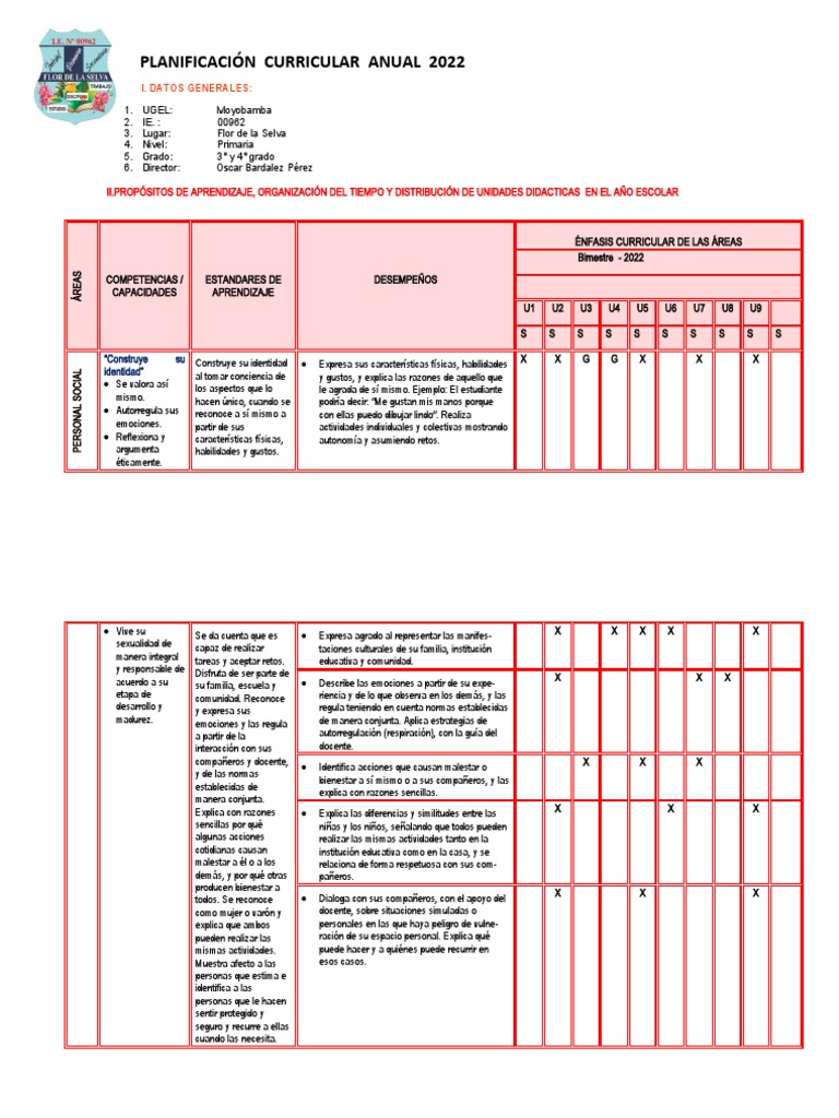 Planificación Curricular Anual 2022 | PDF | Comunicación | Experiencia