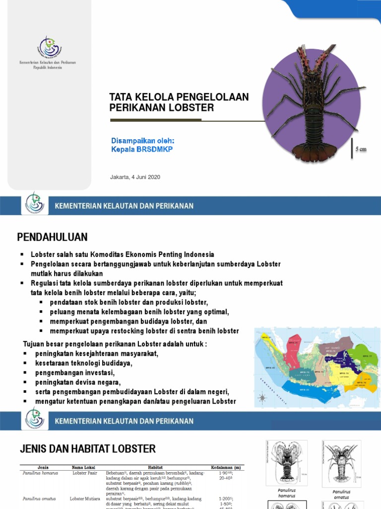 Tata Kelola Perikanan Lobster - Kepala BRSDMKP | PDF