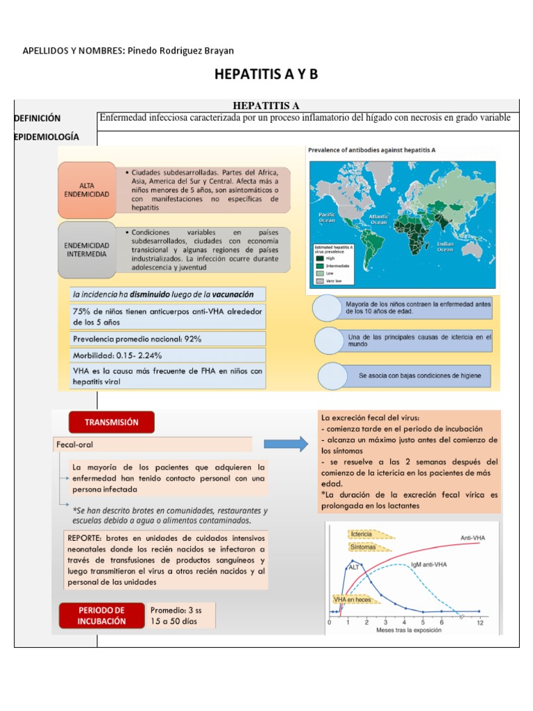 Hepatitis A y B: Causas y Complicaciones | PDF | Hepatitis | Hepatitis B