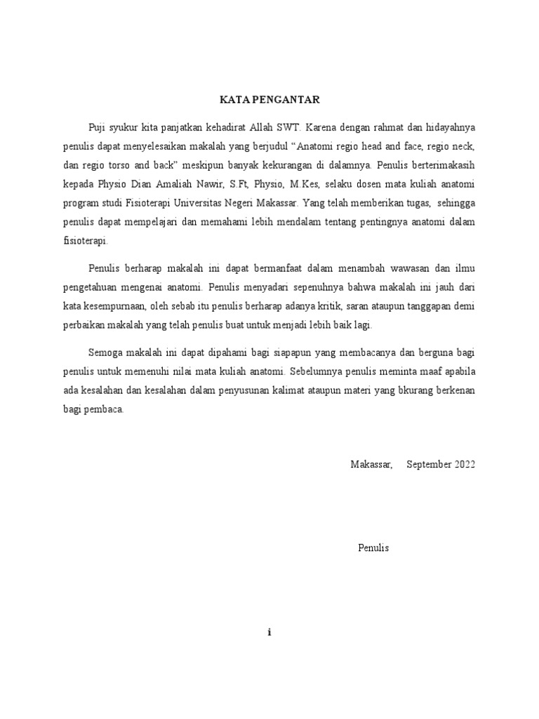 Regio Head and Face | PDF