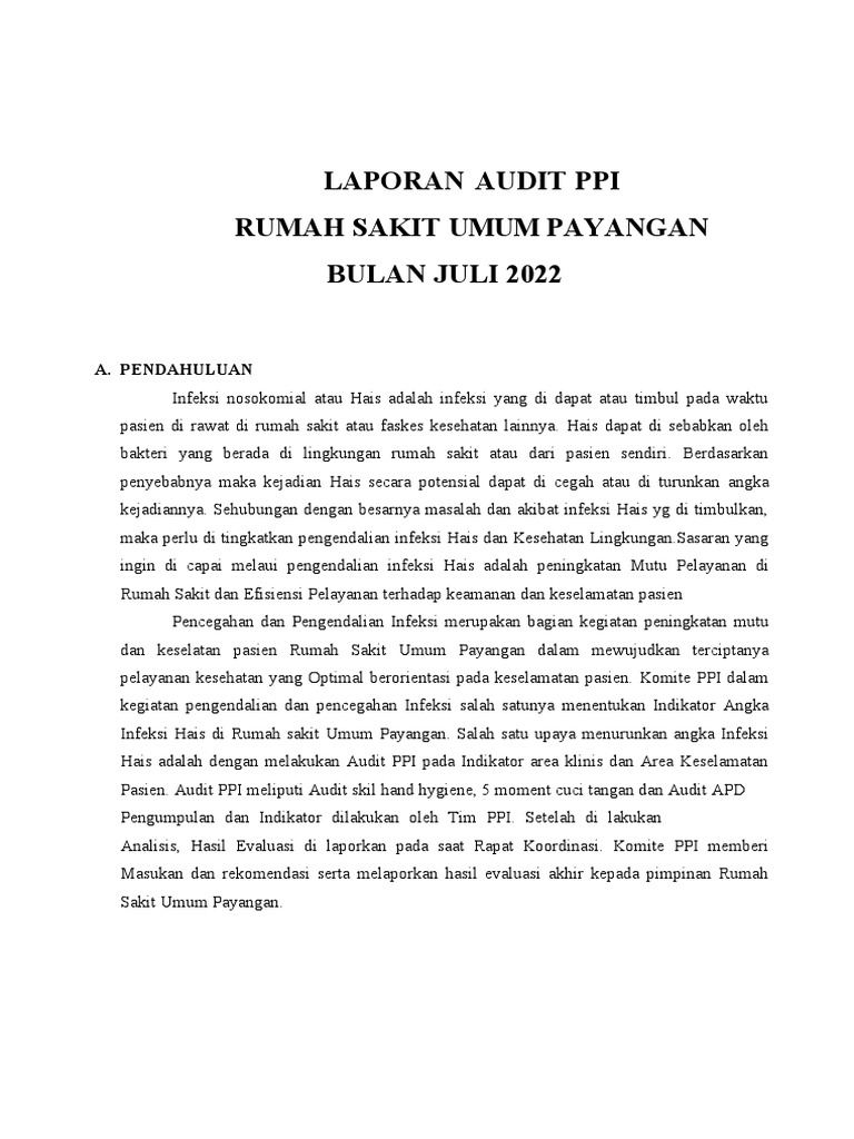 Laporan Audit Ppi | PDF | Pengembangan Diri | Sains & Matematika