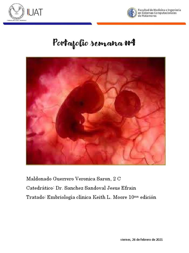 Novena Semana Hasta El Nacimiento El Feto | PDF | Placenta | Reproducción