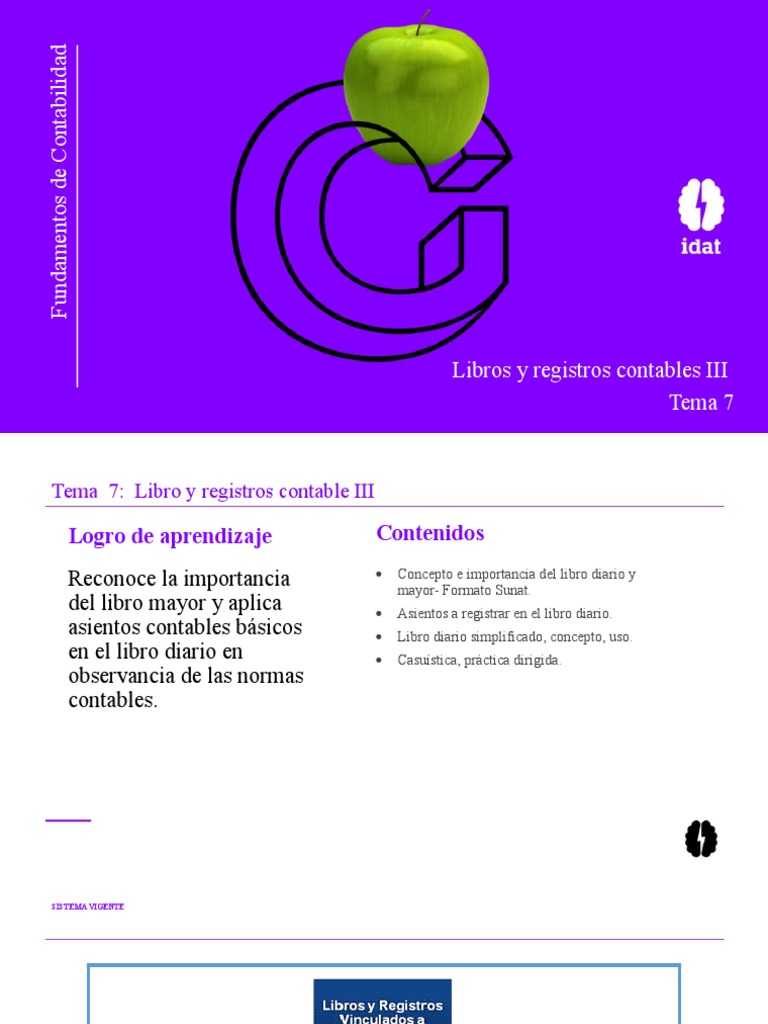 Tema 7 - Libros Contables III | PDF | Contabilidad | Economias