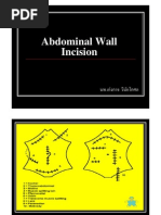 Overview of Abdominal Incisions | PDF | Abdomen | Peritoneum