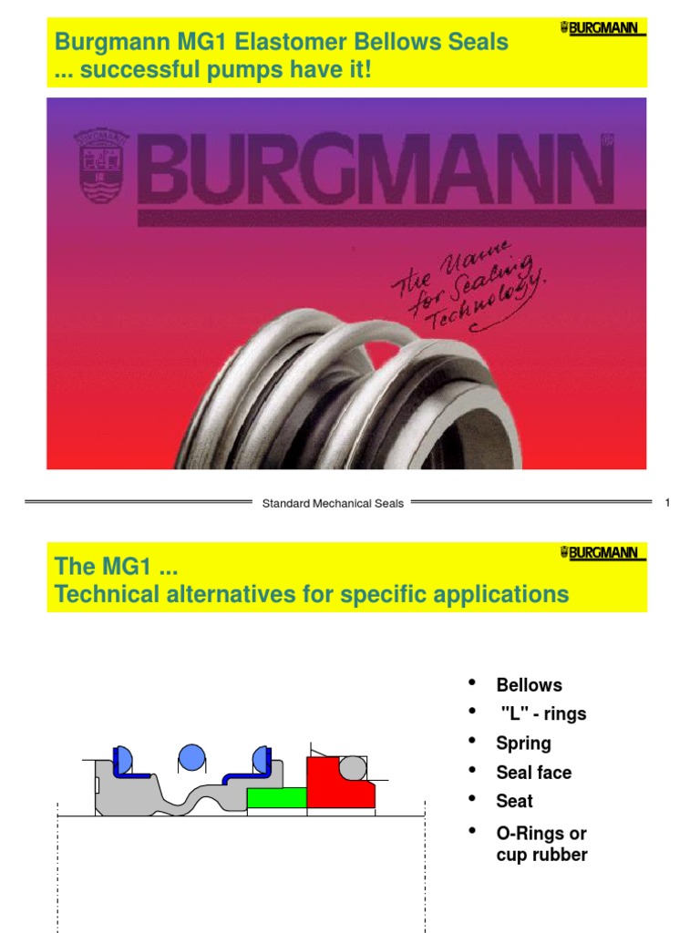MG1 Burgmann | PDF | Pump | Manufactured Goods