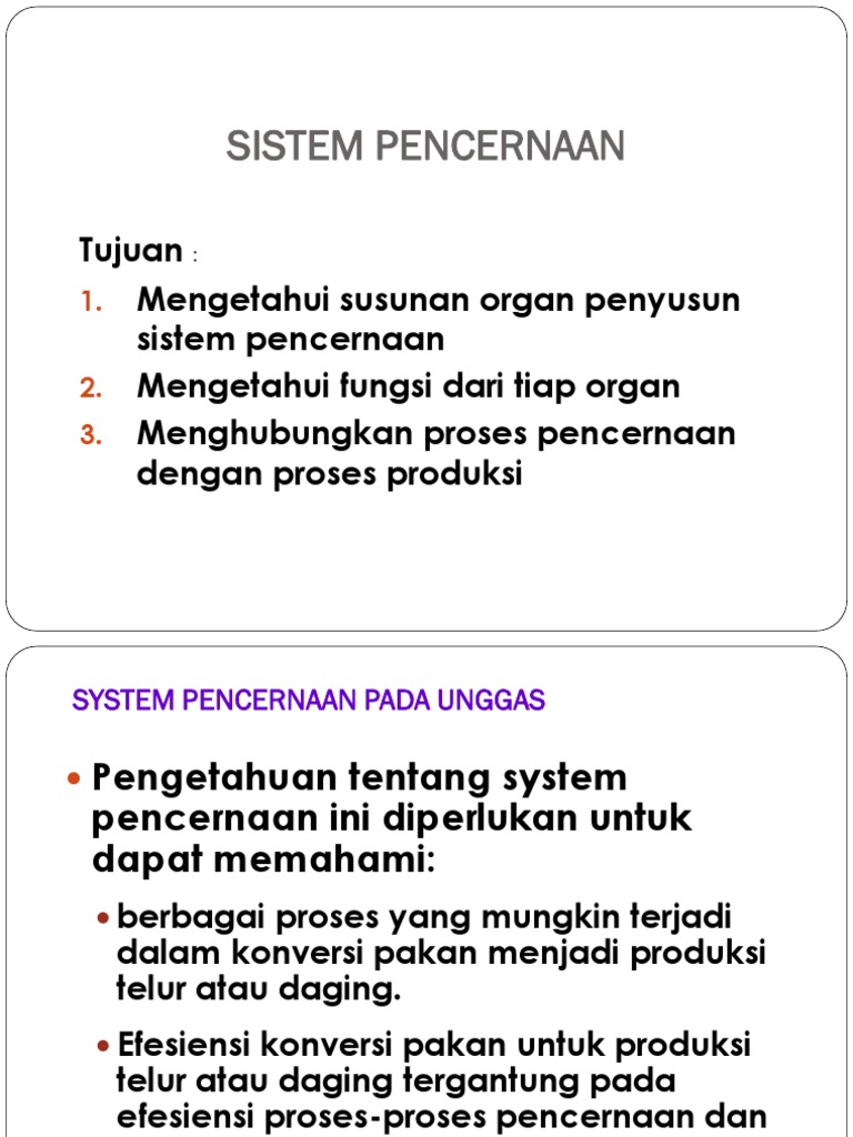 Digestive System | PDF | Kesehatan Holistik