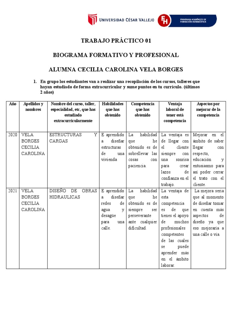 Biograma Formativo y Prefesional - Cecilia Carolina Vela Borges | PDF