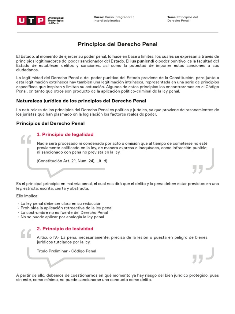 Semana 3 Infografía Principios Del Derecho Penal Pdf Derecho