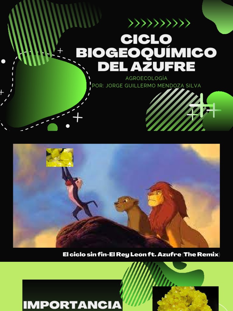 Ciclo Biogeoquímico Del Azufre | PDF | Dióxido de azufre | Azufre