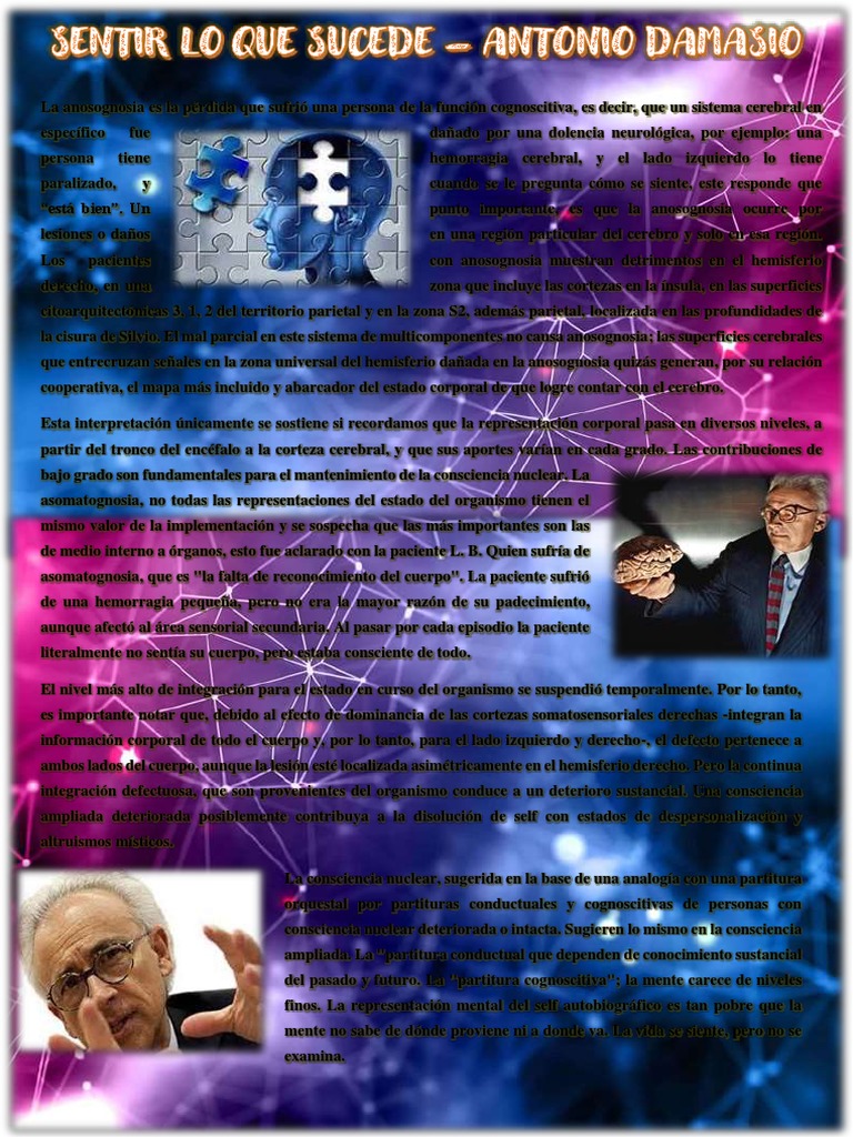 Anosognosia: Comprendiendo su Impacto Cerebral | PDF | Cerebro ...