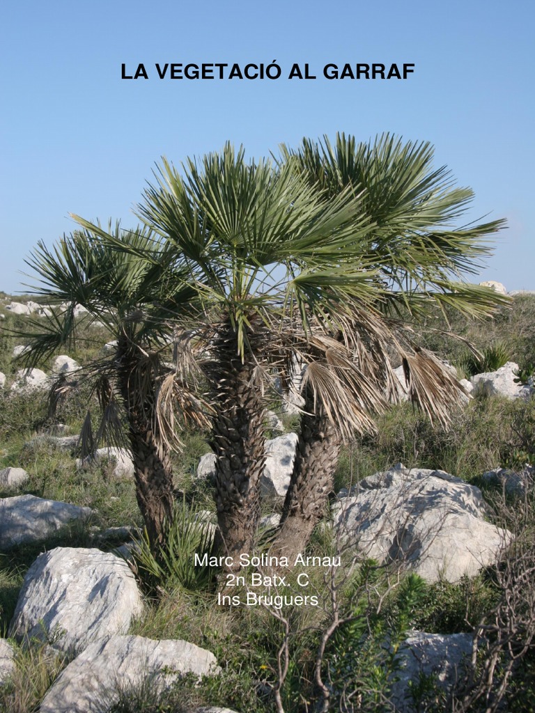 La Vegetacion Al Garraf | PDF