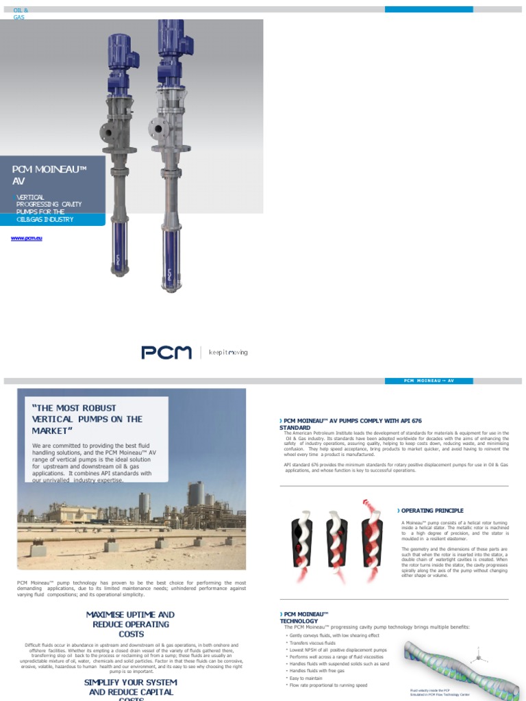 Progresssive Cavity Pump | PDF | Pump | Mechanical Engineering