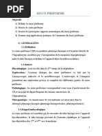 Anatomie du diaphragme stylien | PDF | Tête et cou chez l'humain ...