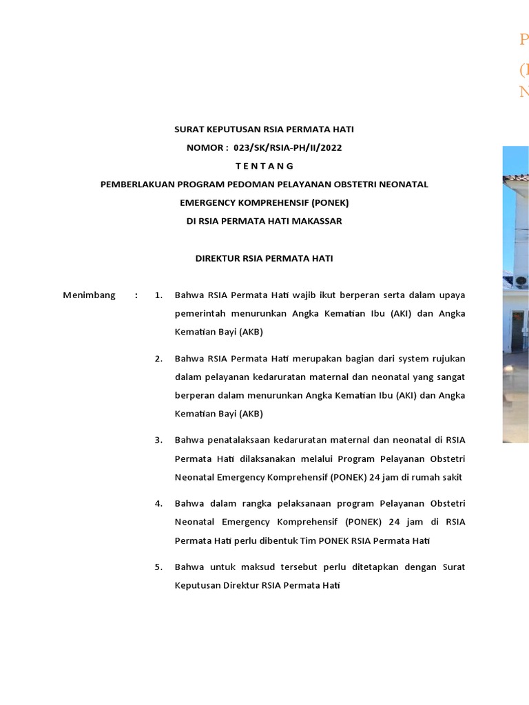 Program Kerja Ponek | PDF