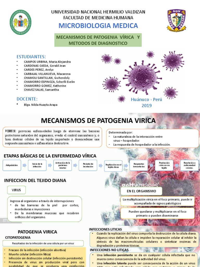 Mecanismos de Patogenia Virica Diap | PDF | Virus | Sistema inmune