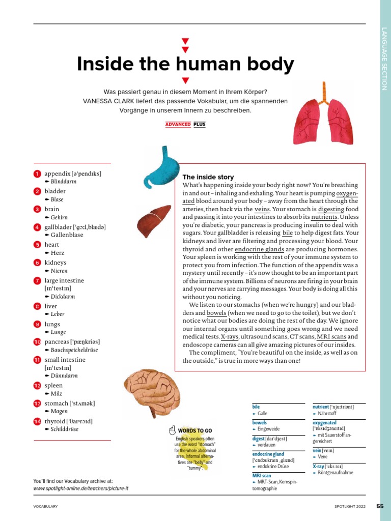 Inside The Human Body | PDF | Human Body | Medical Specialties