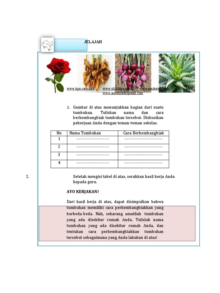 LKPD Perkembangbiakan Tumbuhan | PDF | Griya & Taman | Sains & Matematika
