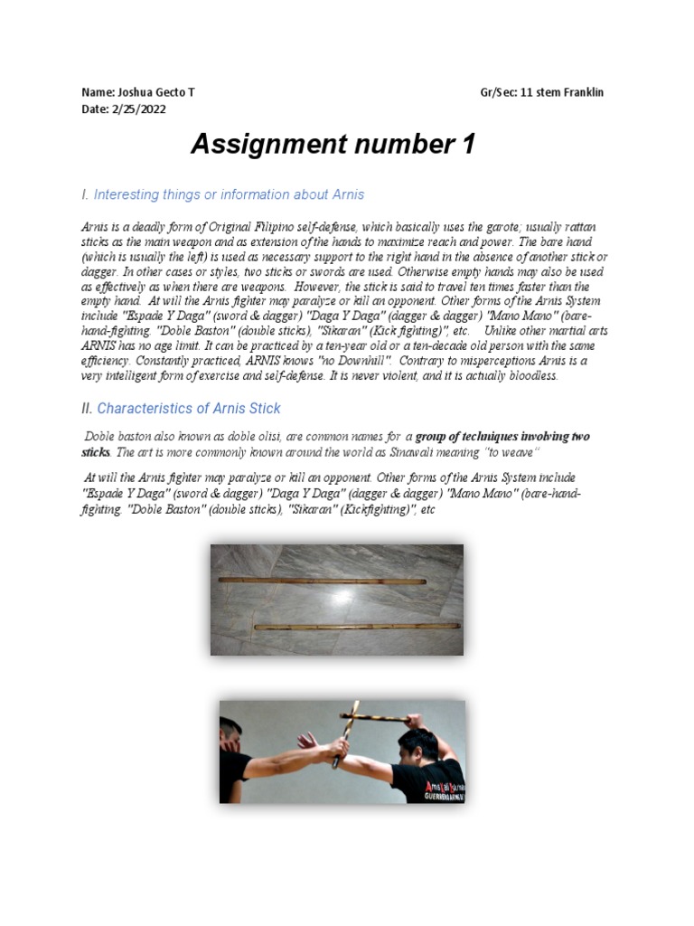 Assignment Number 1: Interesting Things or Information About Arnis | PDF