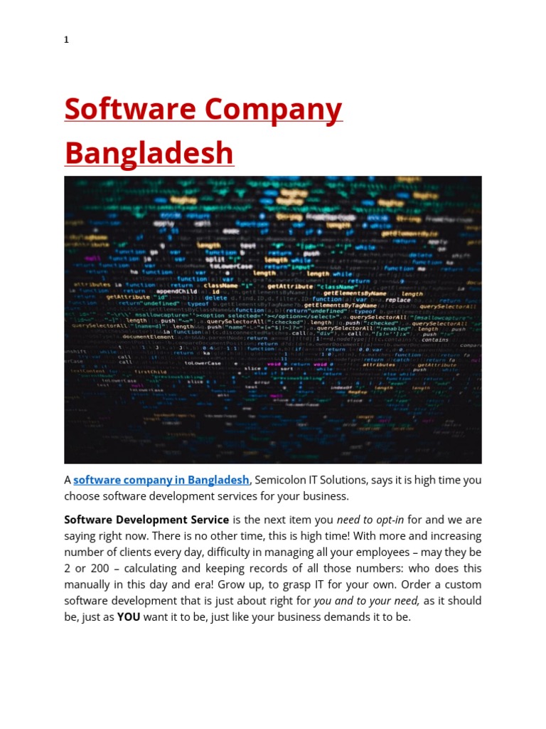 Custom Software Development in Bangladesh | PDF | Software | Software ...