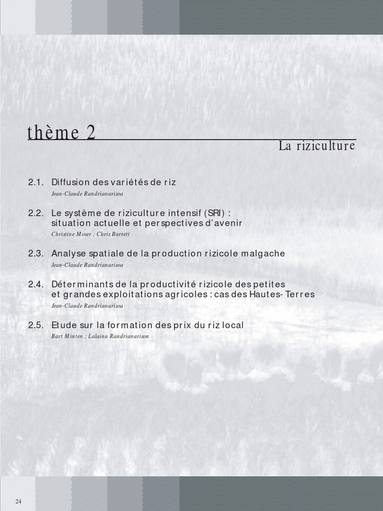 Madagascar Riziculture | PDF | Riz | Madagascar