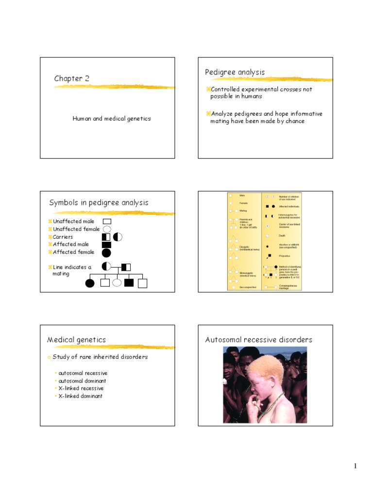 Pedigree Analysis in Human Genetics | PDF | Dominance (Genetics) | Allele