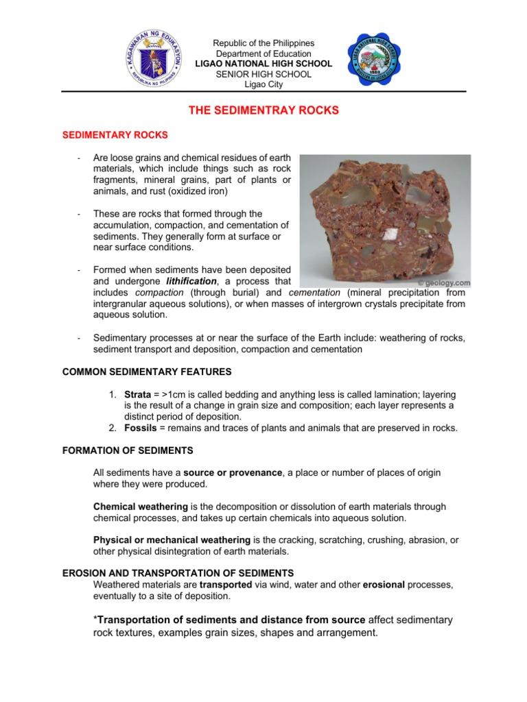 03 Handout Sedimentary Rocks | PDF | Clastic Rock | Sedimentary Rock