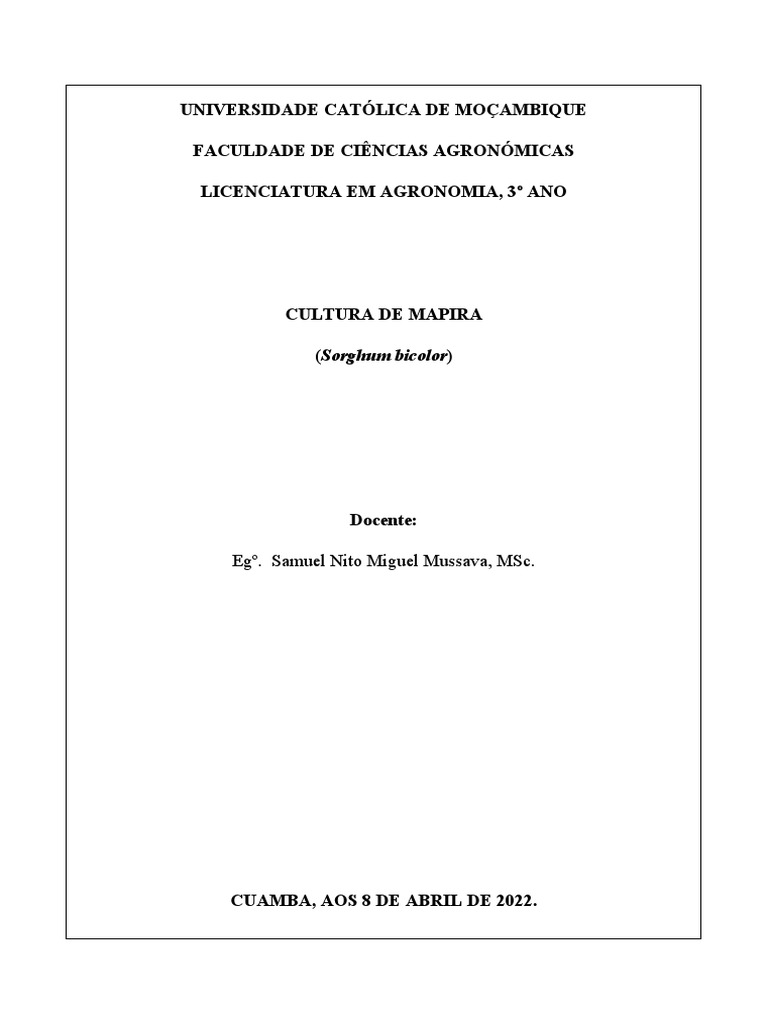 Grupo-7 Mapira | PDF | Raiz | Plantas