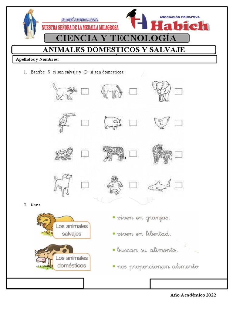 Tema #05 - Ciencia y Tecnologia - Animales Salvajes y Domesticos - 1 ...